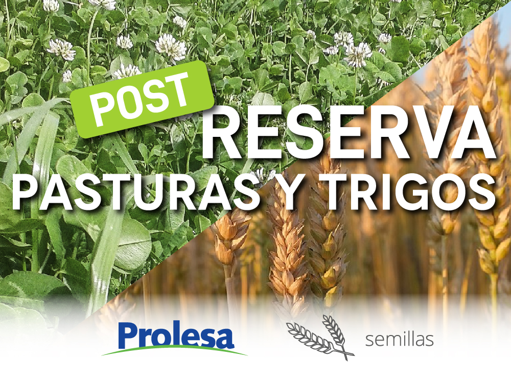 Post reserva pasturas y trigos 2023-2024 | Prolesa