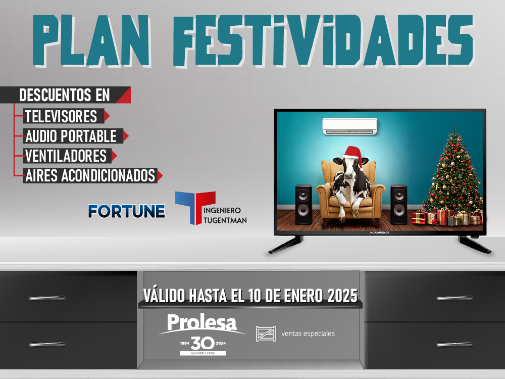Plan Festividades 2024/25 | Prolesa