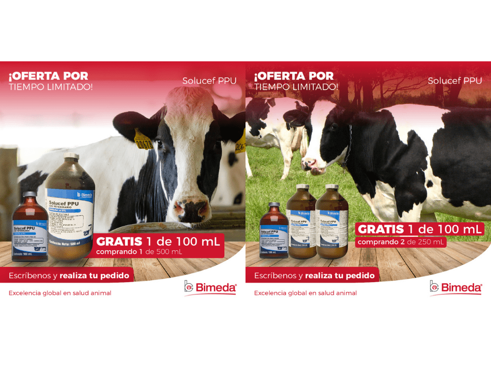 Lleve gratis un frasco de Solucef PPU 100 cc | Prolesa